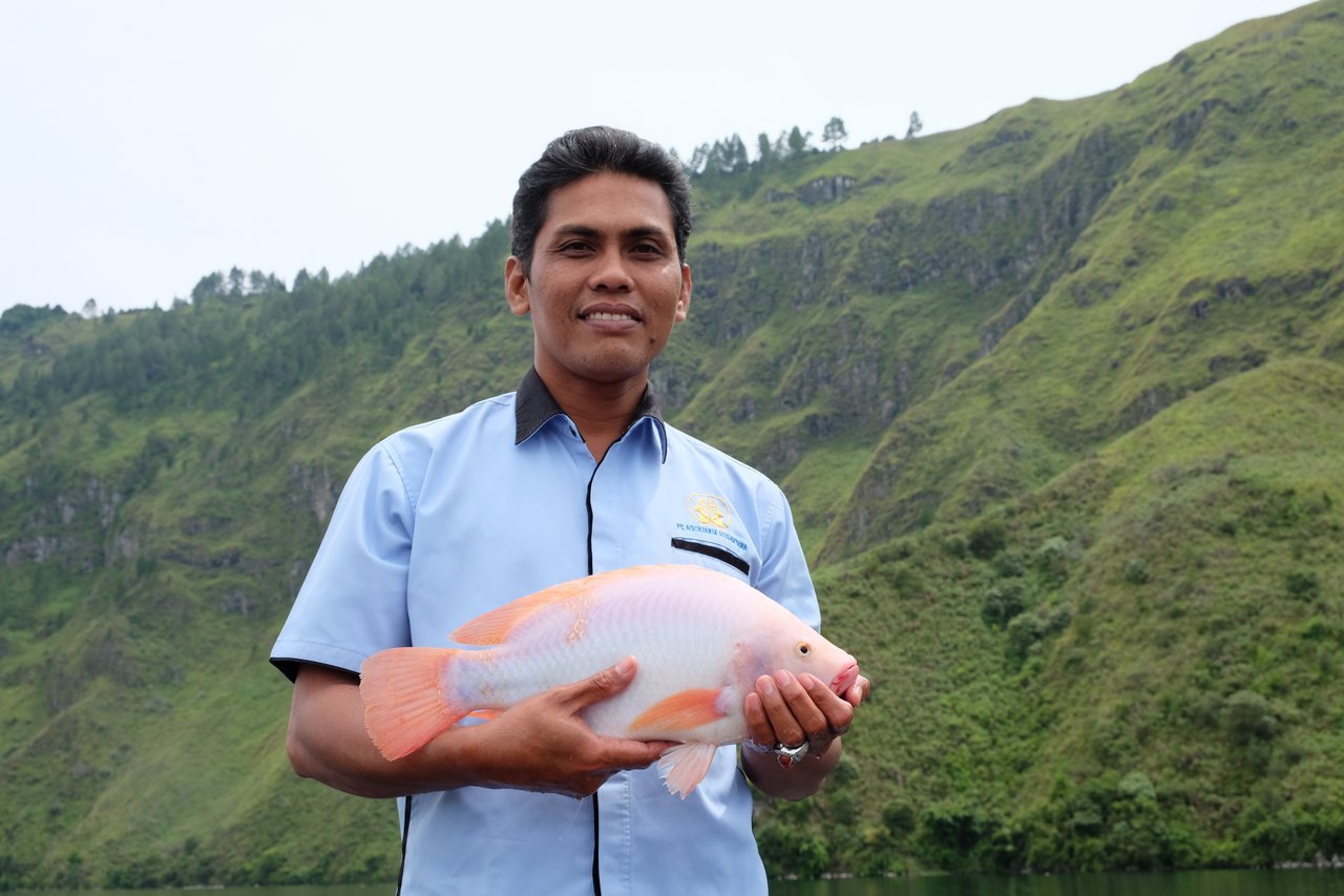 The 3 Most Common Types Of Tilapia The Healthy Fish